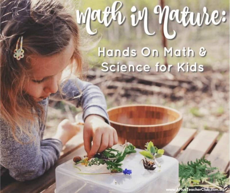 Math In Nature Summer STEM Activities | A Plus Teaching Resources