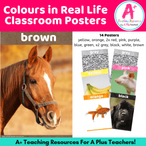 Learning Colours Posters {color in real life} | A Plus Teaching Resources