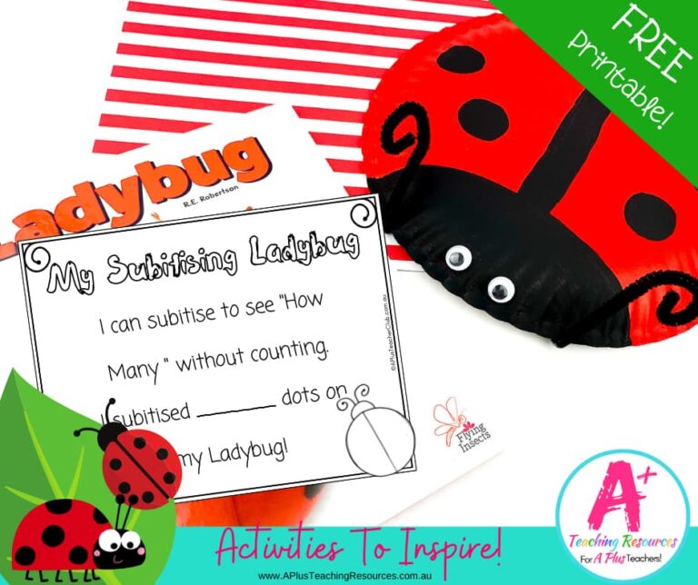 Ladybird Subitizing Craft | A Plus Teaching Resources